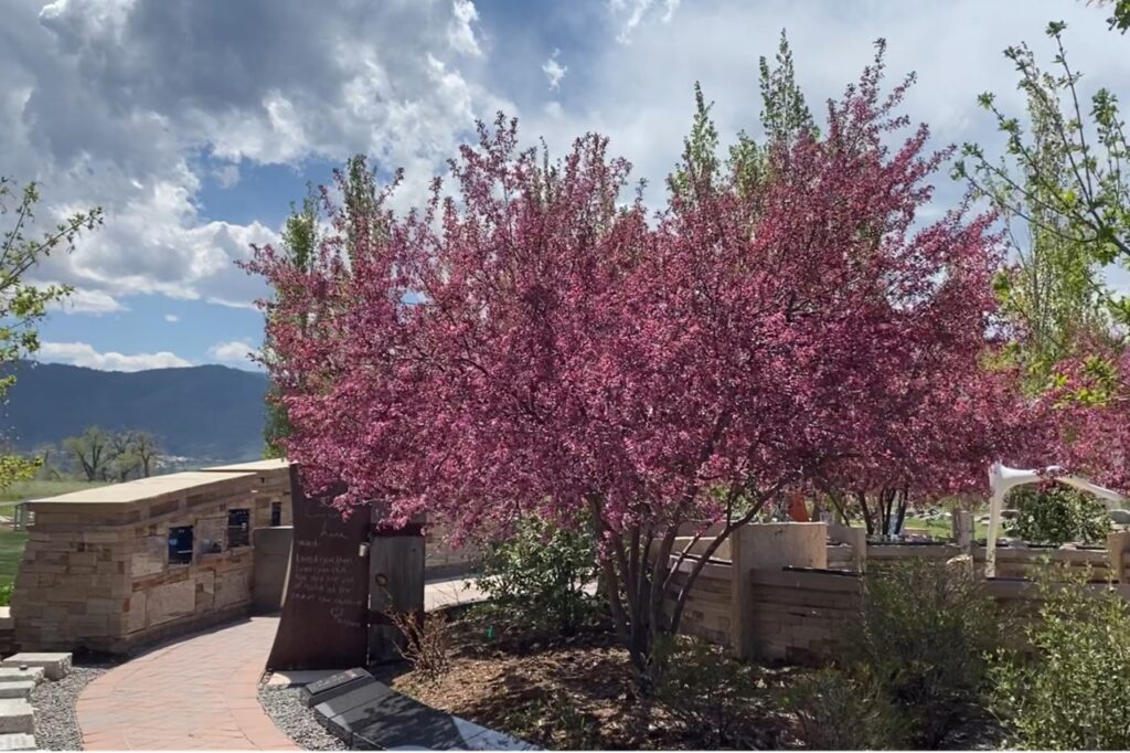 Traditional Burials – Seven Stones