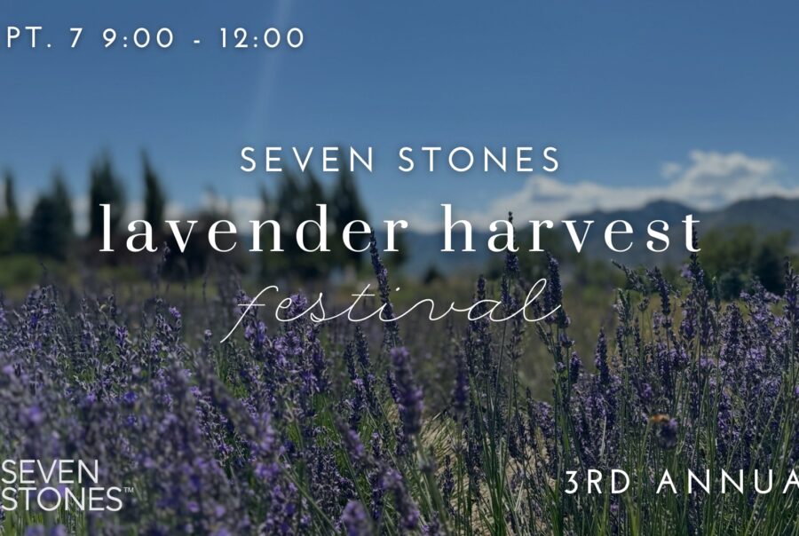 Seven Stones – An Extraordinary Place Worthy of an Uncommon Life