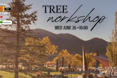 Seven Stones – An Extraordinary Place Worthy of an Uncommon Life